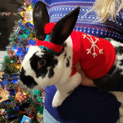 Christmas Rabbit Sweater, Bunny Outfit, Pet Clothing, Bunny Clothes ...