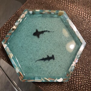 Shark Week Ash Tray / Jewelry Holder - Etsy