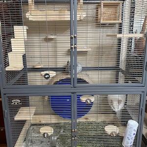 Crazy Critter 11 Pc Kiln Dried Pine Chinchilla//rat//degu//squirrel ...