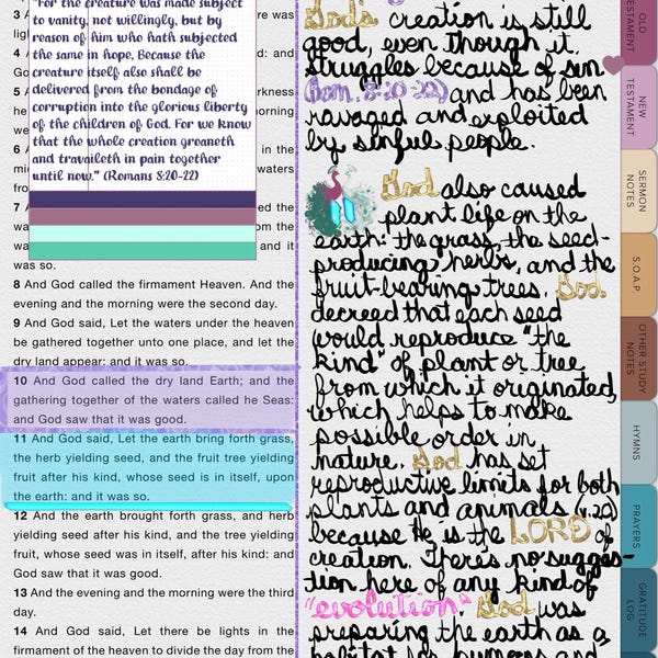 100 Procreate Chinese Pattern Brushes, Traditional China for Procreate ...