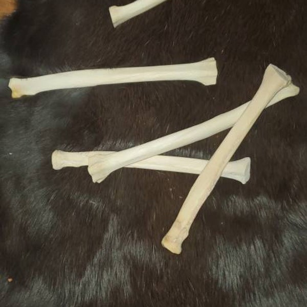 Osteomancy Bone Throwing Set With Over 25 Pieces - Etsy