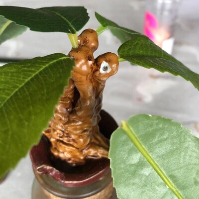 Mandrake Root Herbology Magic Potion Glass Bottle Inspired - Etsy UK