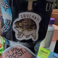 Bleh Cat Sticker - Etsy