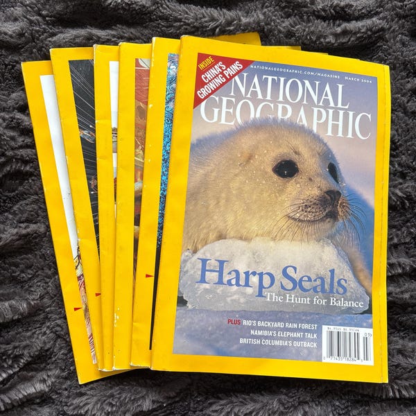 Vintage National Geographic Magazines: Curated Mixed Lot for Collage ...