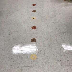 Vinyl Classroom Line up Dots Multiple Quantities & Colors Available - Etsy
