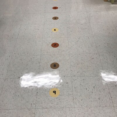 Vinyl Classroom Line up Dots Multiple Quantities & Colors Available - Etsy