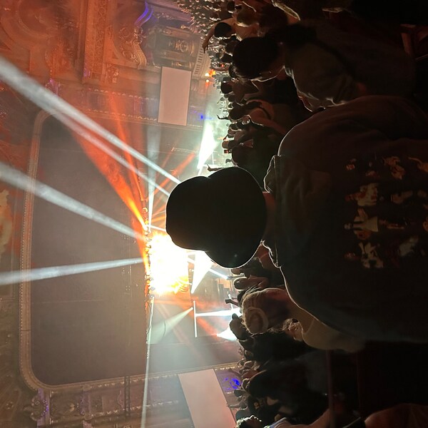 Djs and Dogs Collection Vol. 1 T-shirt, After Party Shirt, Festival ...