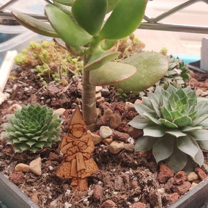 Bern in a Fern Grumpy Bernie Garden Gnome Plant/garden Stake - Etsy