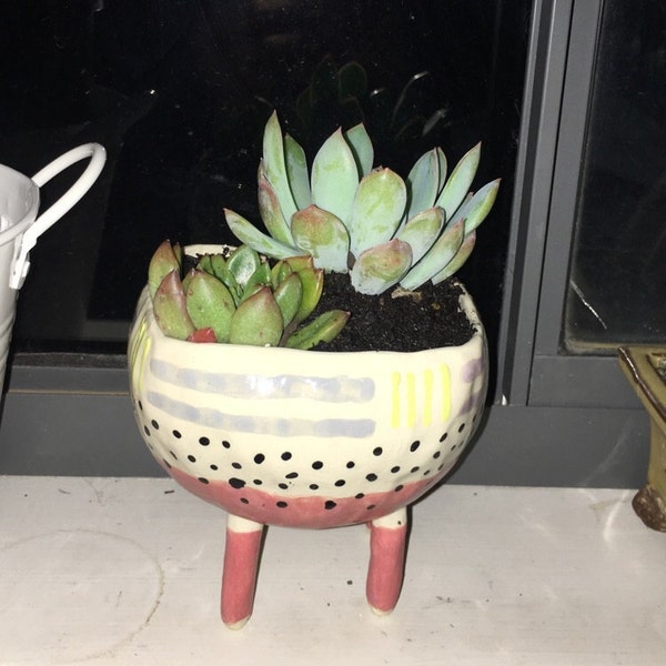 The Four Legs Collection - Ceramic, Succulent Pot, Cactus Pot, Plant ...
