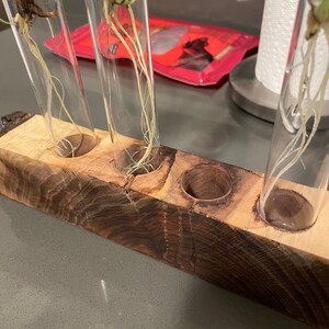 Black Walnut Propagation Set of 3 / Hydroponic Rooting Vases / | Etsy