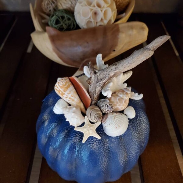 Coastal Pumpkin-key West Pumpkin-shell Pumpkin-coastal Pumpkin Decor ...