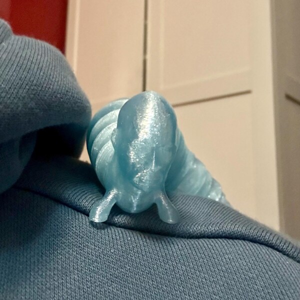 The Rock Fidget Slug - Etsy