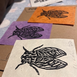 Mini Cicada Linocut Print - Etsy