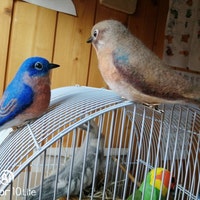 Northern Mockingbird Felting Realistic Toy the State Bird - Etsy Denmark