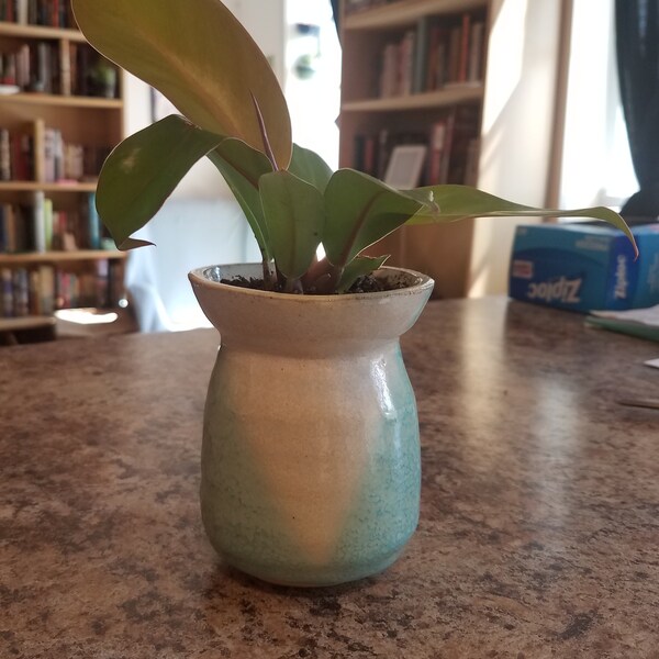 Geometric Modern Horizontal Line Pot/vessel/plant Pot/air Plant Pot ...