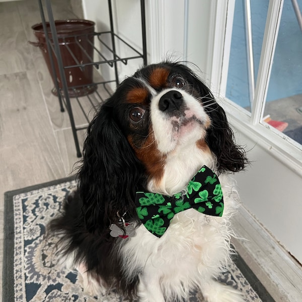 Rainbow Splotched Dog Bow Tie Summer Dog Bow Tie Colorful Dog Bow Tie ...