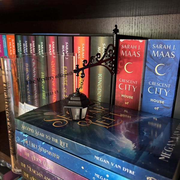 Library Lantern – Mini Bookshelf Lamp, Fantastic Shelf Decor, Warm and ...