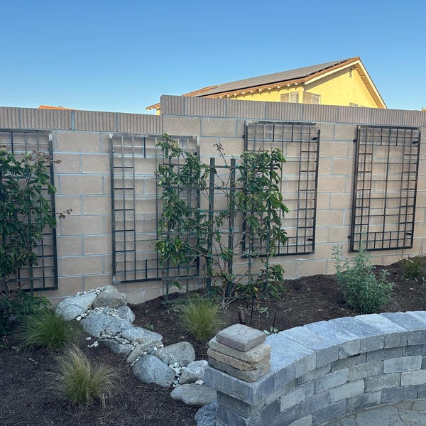 Horizontal Bar Trellis, Wall Mounted / Stand Alone, Modern Metal ...