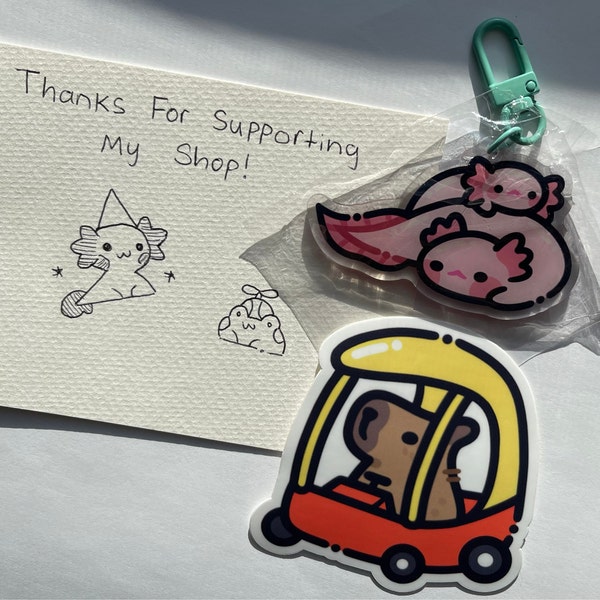 Capybara Car Sticker - Etsy