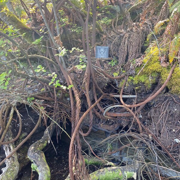 ALBATWITCH on Board - Vinyl Sticker Cryptid Cryptozoology PA Bigfoot ...