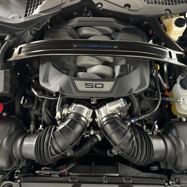 2020-2022 Ford Mustang GT500 Strut Tower Covers Custom Fitted (predator ...