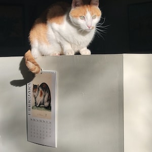 Fat Cat Crying Poster, Funny Chonk Painting Meme Wall Art, Ugly ...