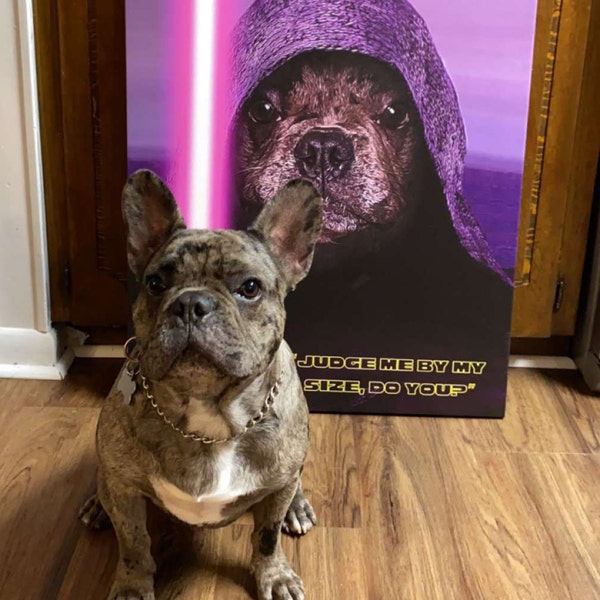 Custom Star Wars Pet Portrait, Luke Skywalker Dog Portrait, Star Wars ...