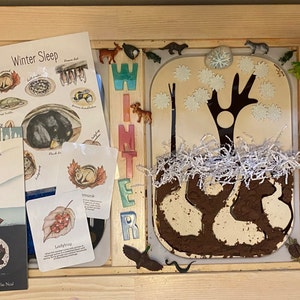 Winter Learning Bundle Unit Study, Nature Study, Charlotte Mason - Etsy