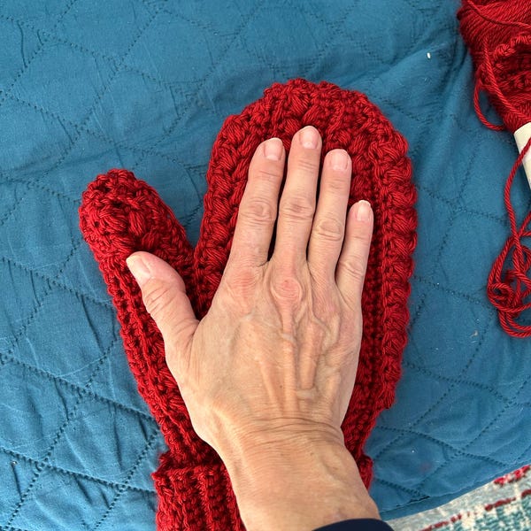 CROCHET PATTERN + VIDEO Winter Wheat Stitch™ Crochet Mittens Pattern ...