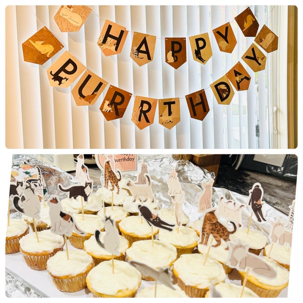 Ohio State Party Supplies Birthday Party, Ohio State Graduation ...