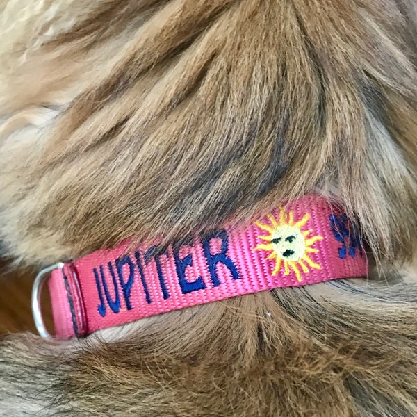 Personalized Custom Made Embroidered Dog Collars - Etsy