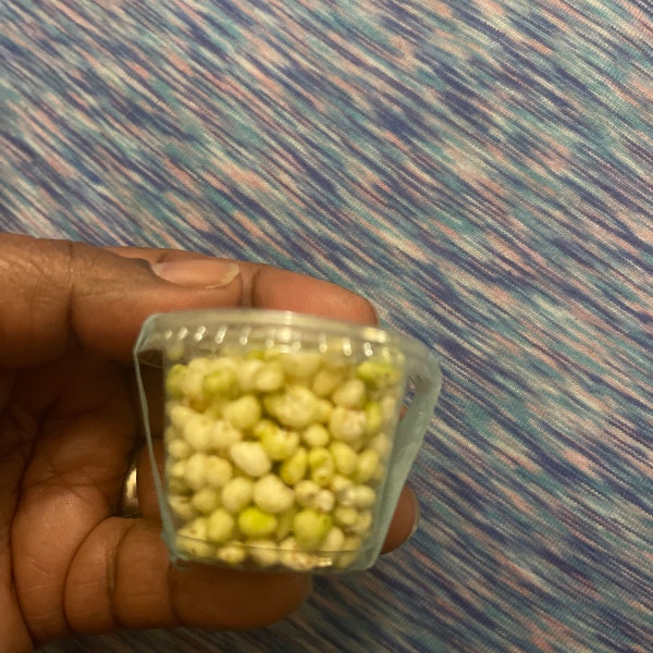 Mini Cod Chips Hermit Crab Food - Etsy