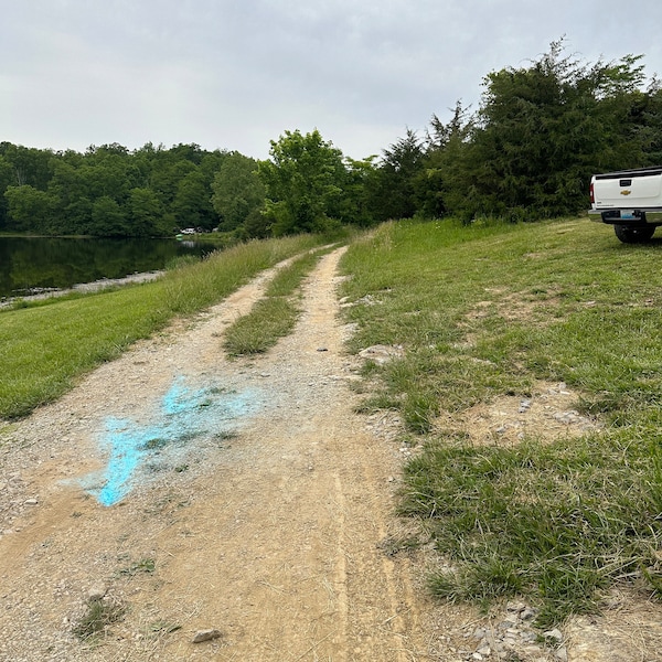 Gender Reveal Fishing Bobber Fisher Gender Reveal Fishing Lures or ...