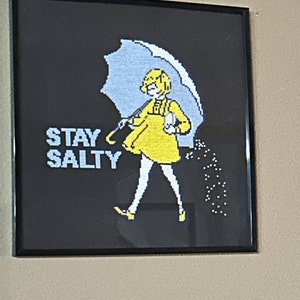 Stay Salty Cross Stitch Pattern, Digital Download, Pop Culture, Funny ...