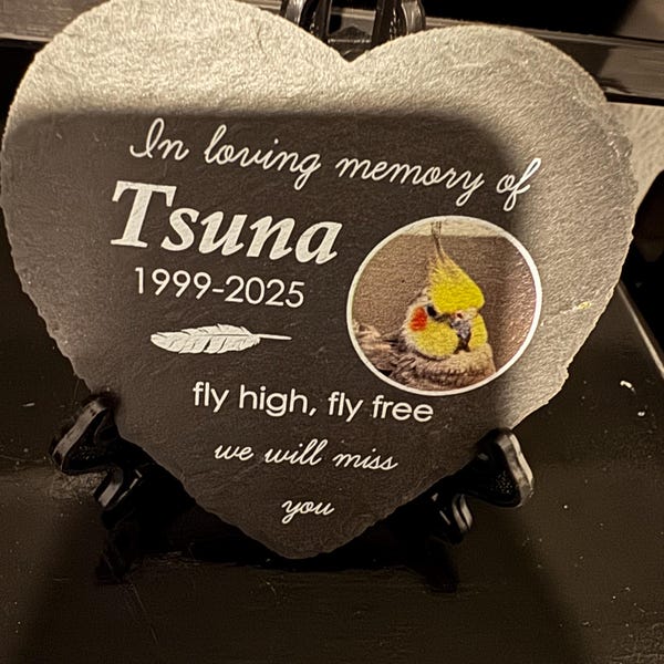 Personalized Rat Memorial Stone, Garden Stone, With Picture, Memorial ...