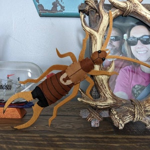 Felt Weevil Realistic Toy Felted Weevil Young Naturalist - Etsy