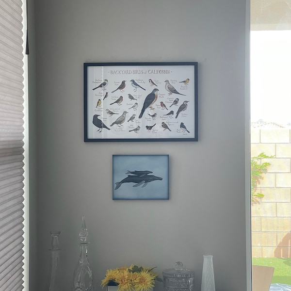 California Backyard Birds Field Guide Art Print / Watercolor Painting ...