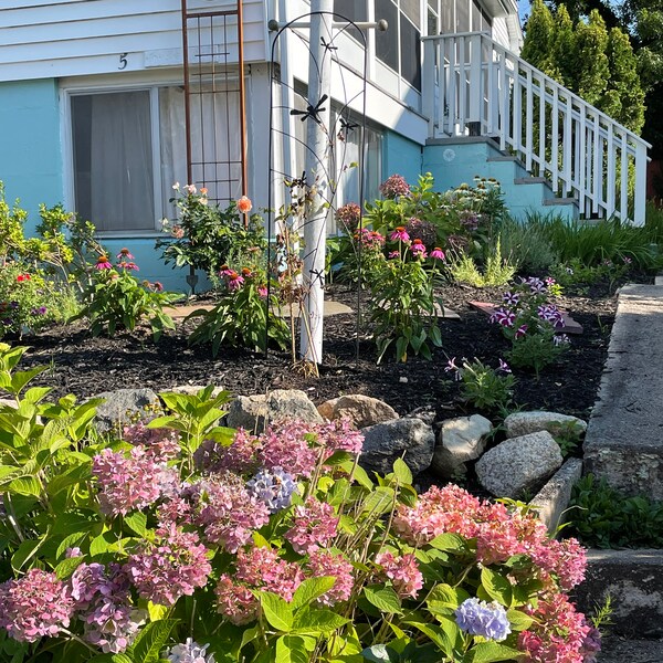 Brilliant Rays of the Sun With Moon...garden Trellis Plant Trellis ...