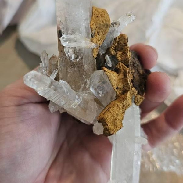 King Tutankhamun Side Profile Egyptian Papyrus - Etsy