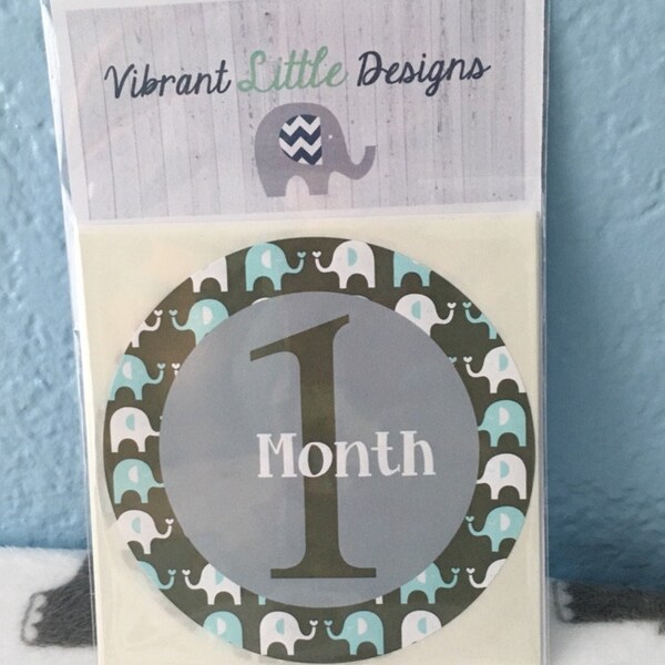 PRINTABLE INSTANT DOWNLOAD Jungle Animals Baby Onesie® Milestone ...