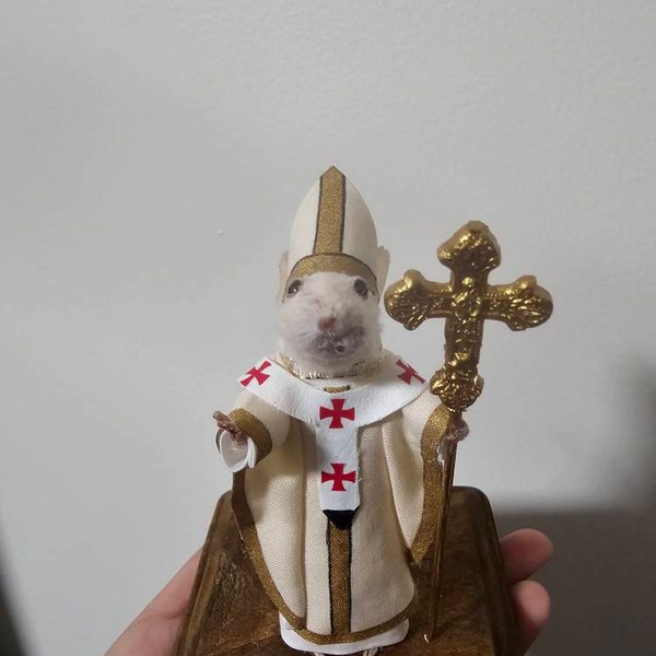 Taxidermy Mouse Pope Francis - Etsy
