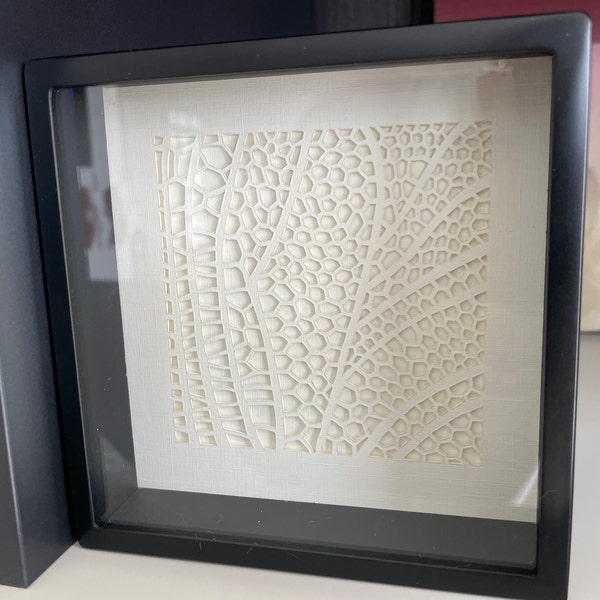 Handmade Beach Seafan Coral Paper Cut-out Relief - Nature and Ocean ...