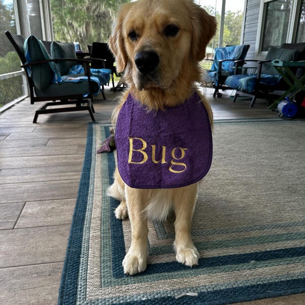 Big Dog Slobber Drool/slobber Bibs 2 Designs - Etsy