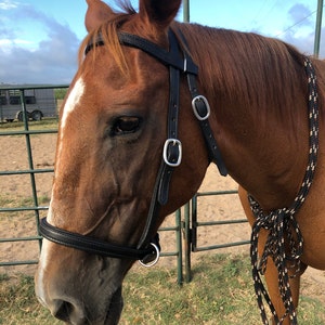 ARAB Size AUSTRALIAN Aussie Barcoo Outrider BRIDLE Made | Etsy