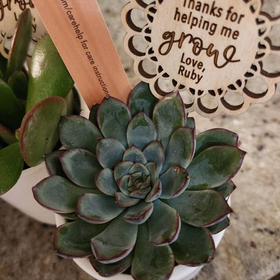 Thank You Retirement Plant Stick Gifts Party Favors, Custom Retirement ...