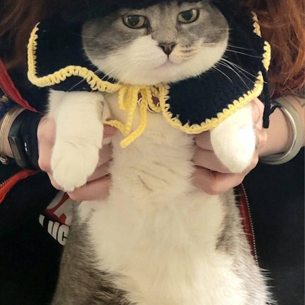 Wizard Pet Costume, Wizard Costume for Cat, Halloween Cat Hat, Wizard ...