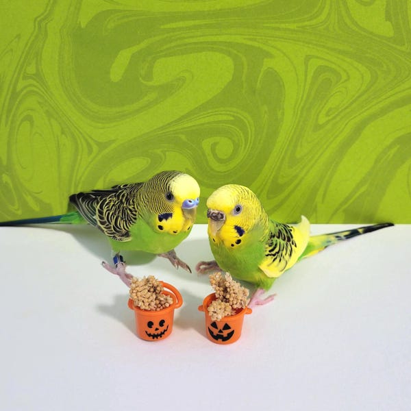 Retro Miniature Dippity Do Hair Gel Dollhouse Miniatures - Etsy