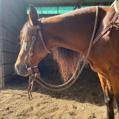 Yacht Rope Sport Mecate Reins W Poppers Use With Slobber Straps Snaffle ...