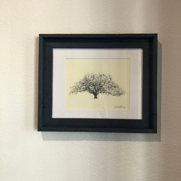 Oak Tree Print - Savannah Georgia - Candler Oak - Southern Decor ...