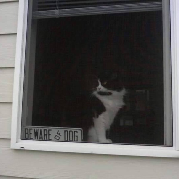 WIN LOTTO SPELL Powerful Manifestation Spell for Life-changing Luck ...